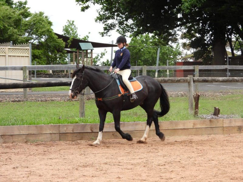 Visit our Campuses | The Hamilton and Alexandra College