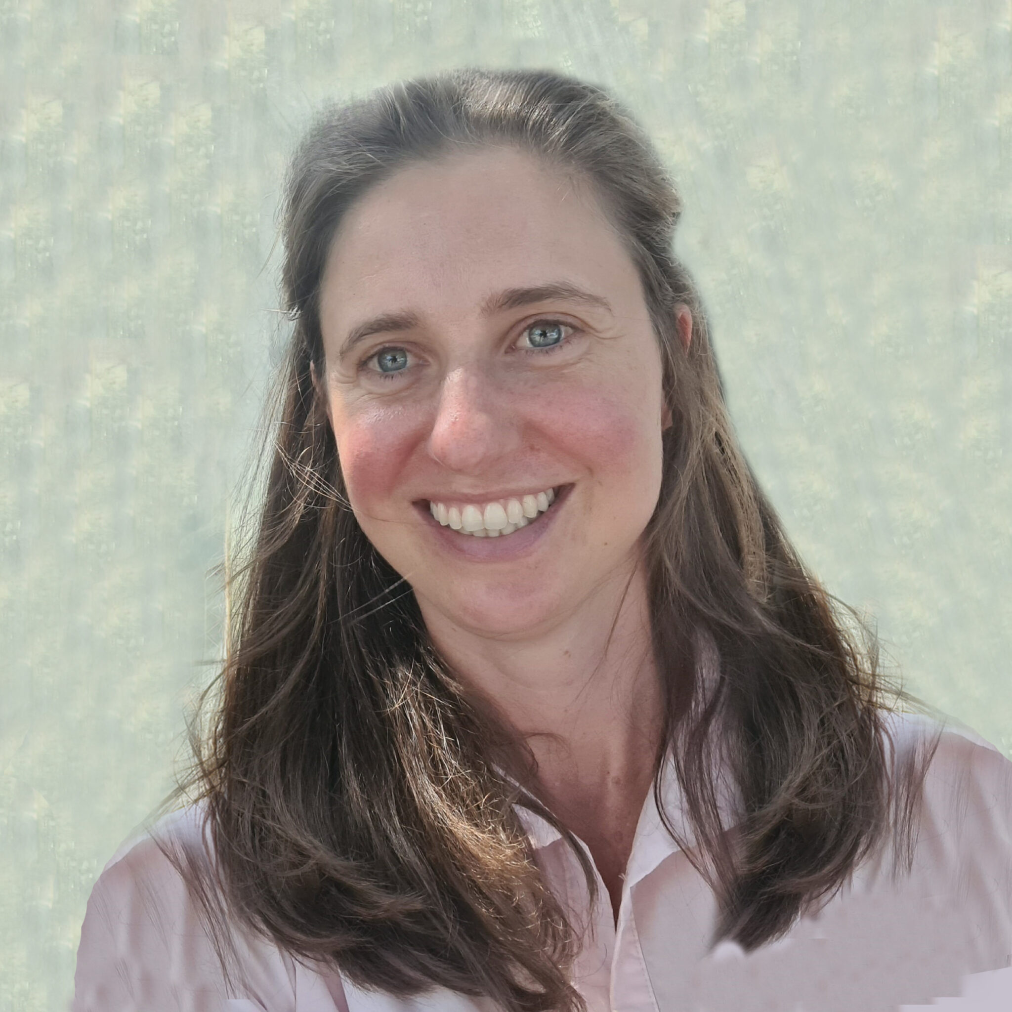 Governance | The Hamilton and Alexandra College